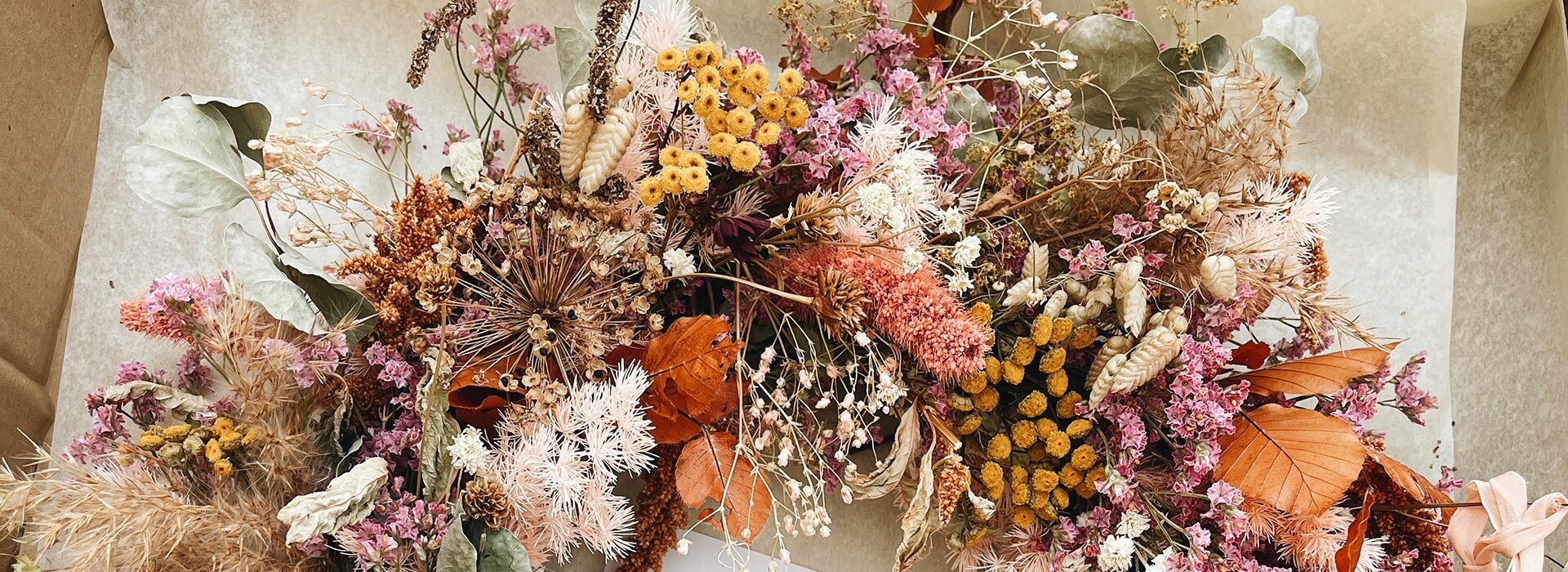 Beetham Nurseries | Plant & Garden Centre | Milnthorpe, Kendal