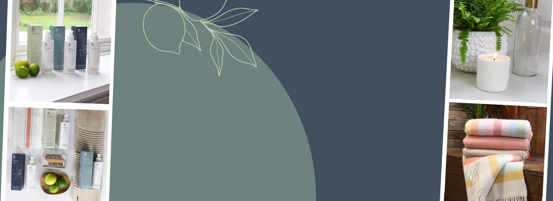 Beetham Nurseries | Plant & Garden Centre | Milnthorpe, Kendal