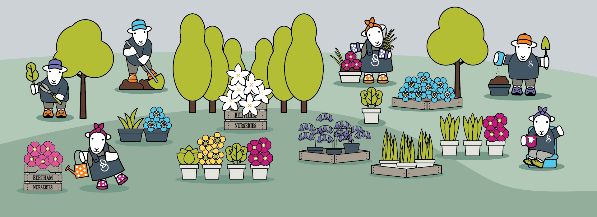 Beetham Nurseries | Plant & Garden Centre | Milnthorpe, Kendal