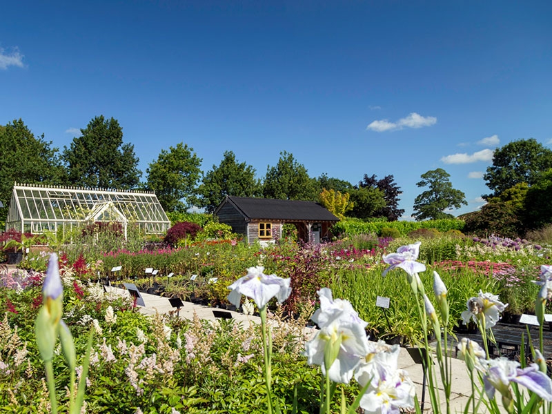 Clippings from The Growing Nursery - March/April 2023 - Beetham Nurseries