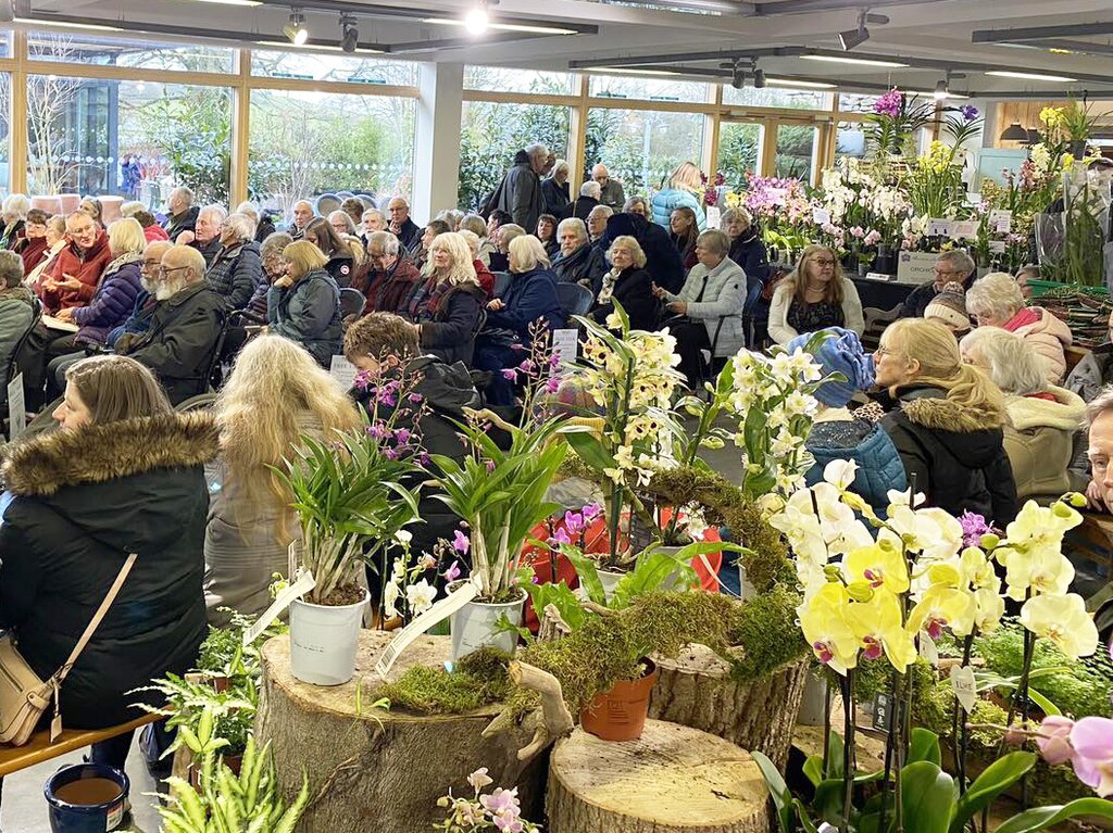 Orchid Day 2024: Your Questions Answered! - Beetham Nurseries