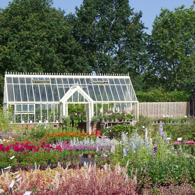 The Growing Nursery is Reopening! - Beetham Nurseries