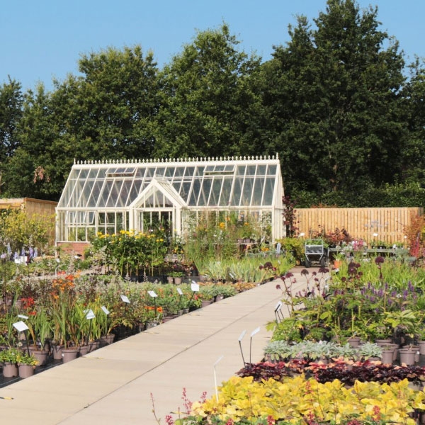 The Growing Nursery Will Reopen on Saturday 27th March - Beetham Nurseries