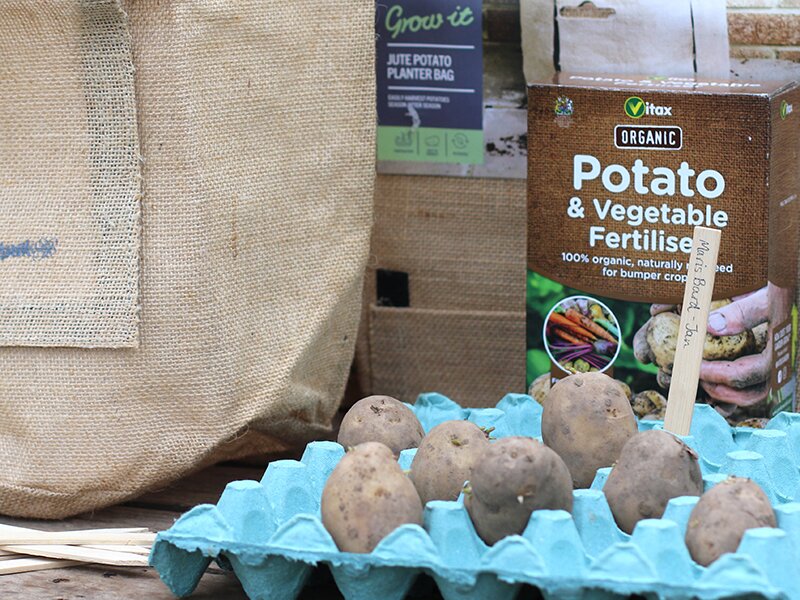 Understanding the Potato Seasons - Beetham Nurseries