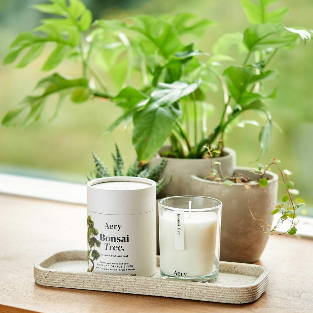 Aery Living Bonsai Tree Scented Candle - Birch Sap Orange & Yuzu ...