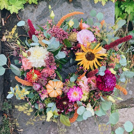 Events - Beetham Nurseries