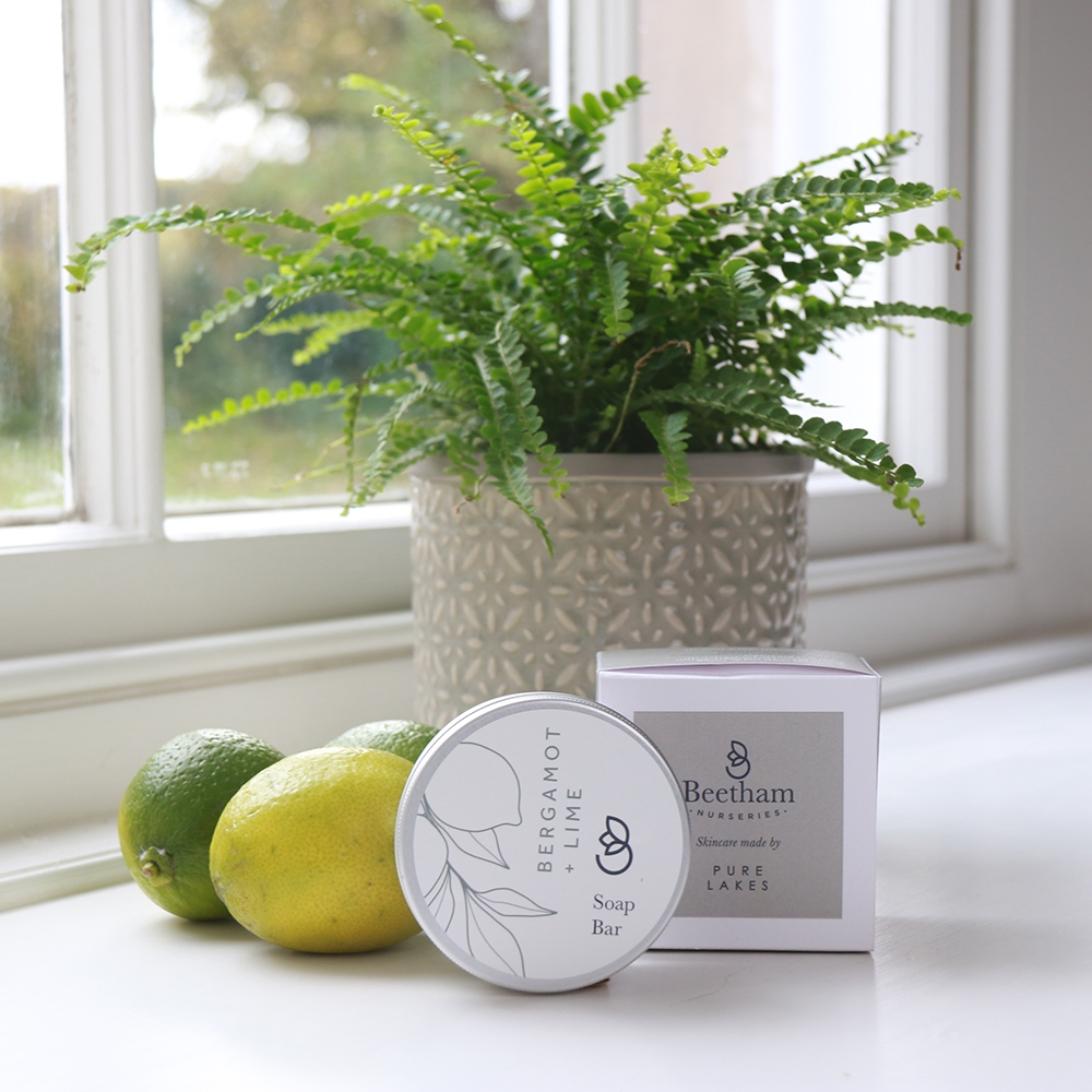 Beetham Nurseries Bergamot & Lime Soap Bar - Beetham Nurseries