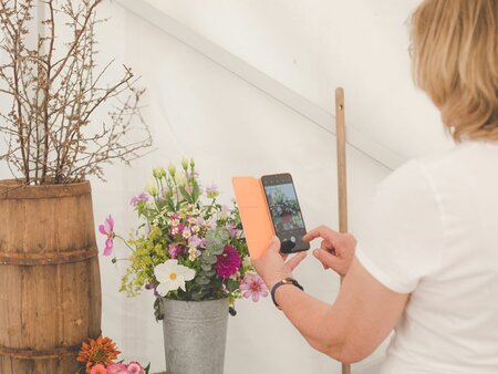 Events - Beetham Nurseries