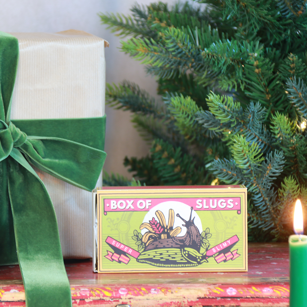 Box of Slugs - Beetham Nurseries