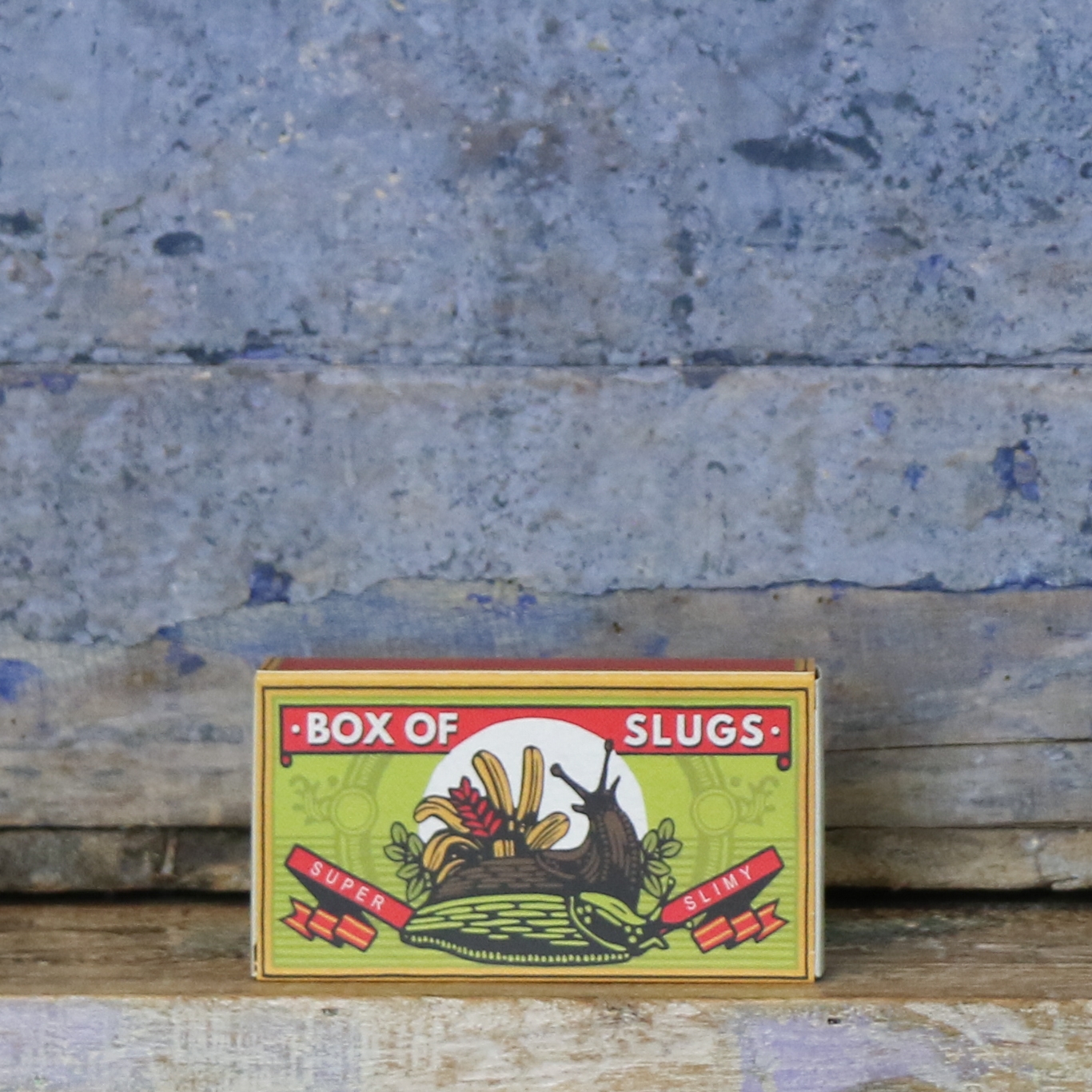 Box of Slugs - Beetham Nurseries