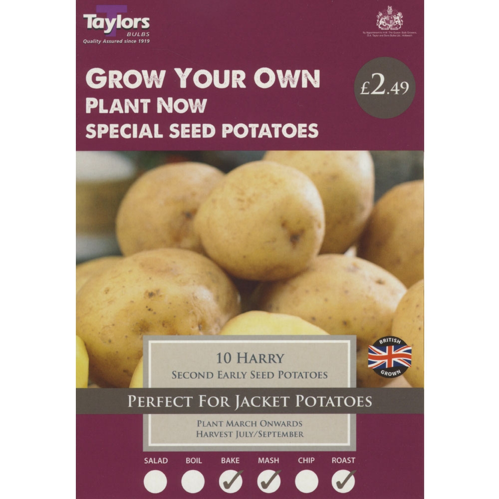 Harry Second Early Seed Potatoes (Pack of 10 Tubers) - Beetham Nurseries