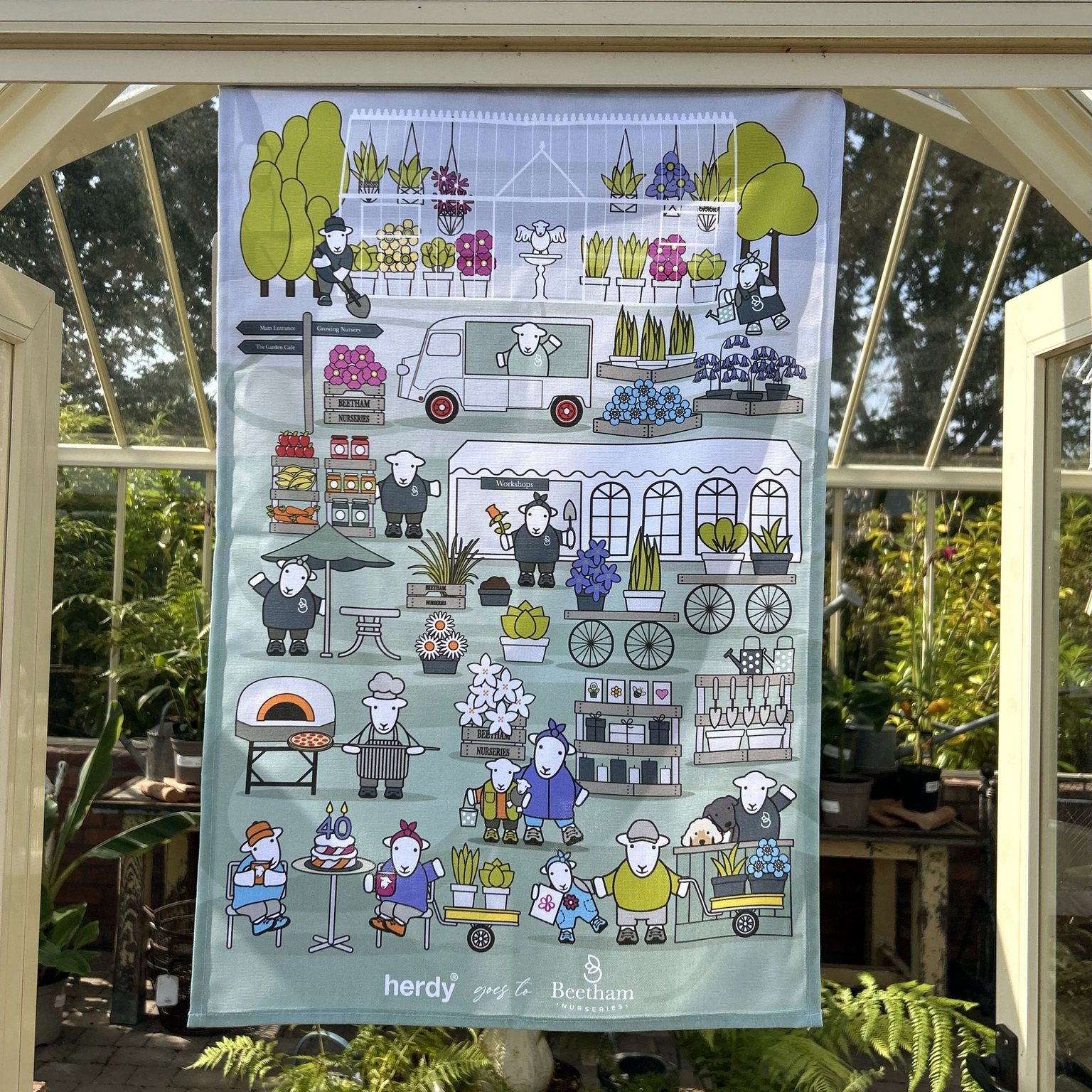 Herdy Goes To Beetham Nurseries Limited Edition Tea Towel - Beetham ...