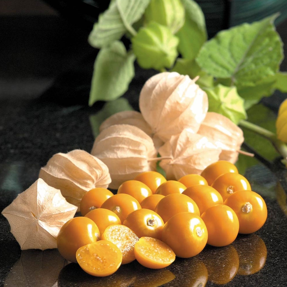 Inca Berries Seeds - Beetham Nurseries