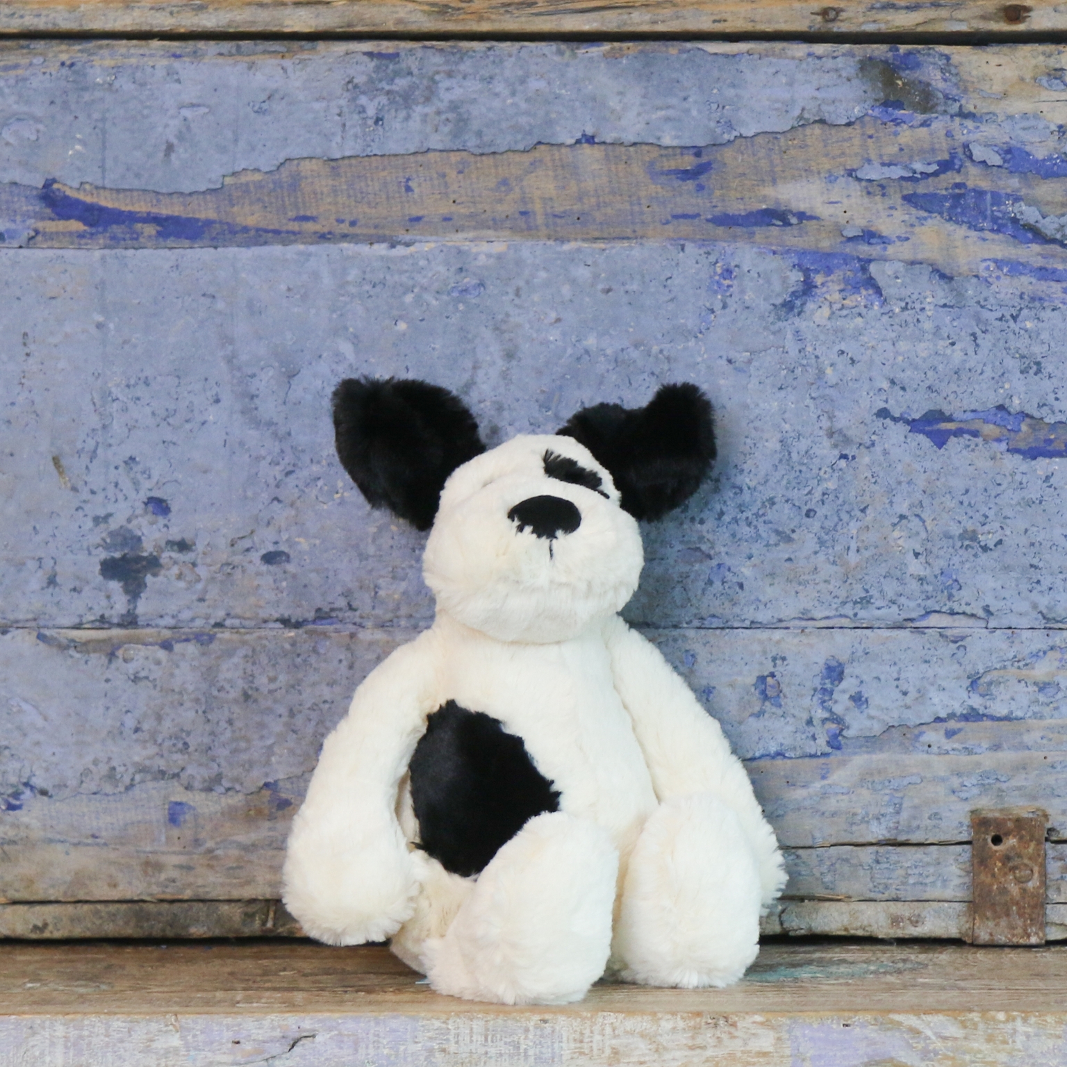 Jellycat Bashful Black & Cream Puppy - Beetham Nurseries