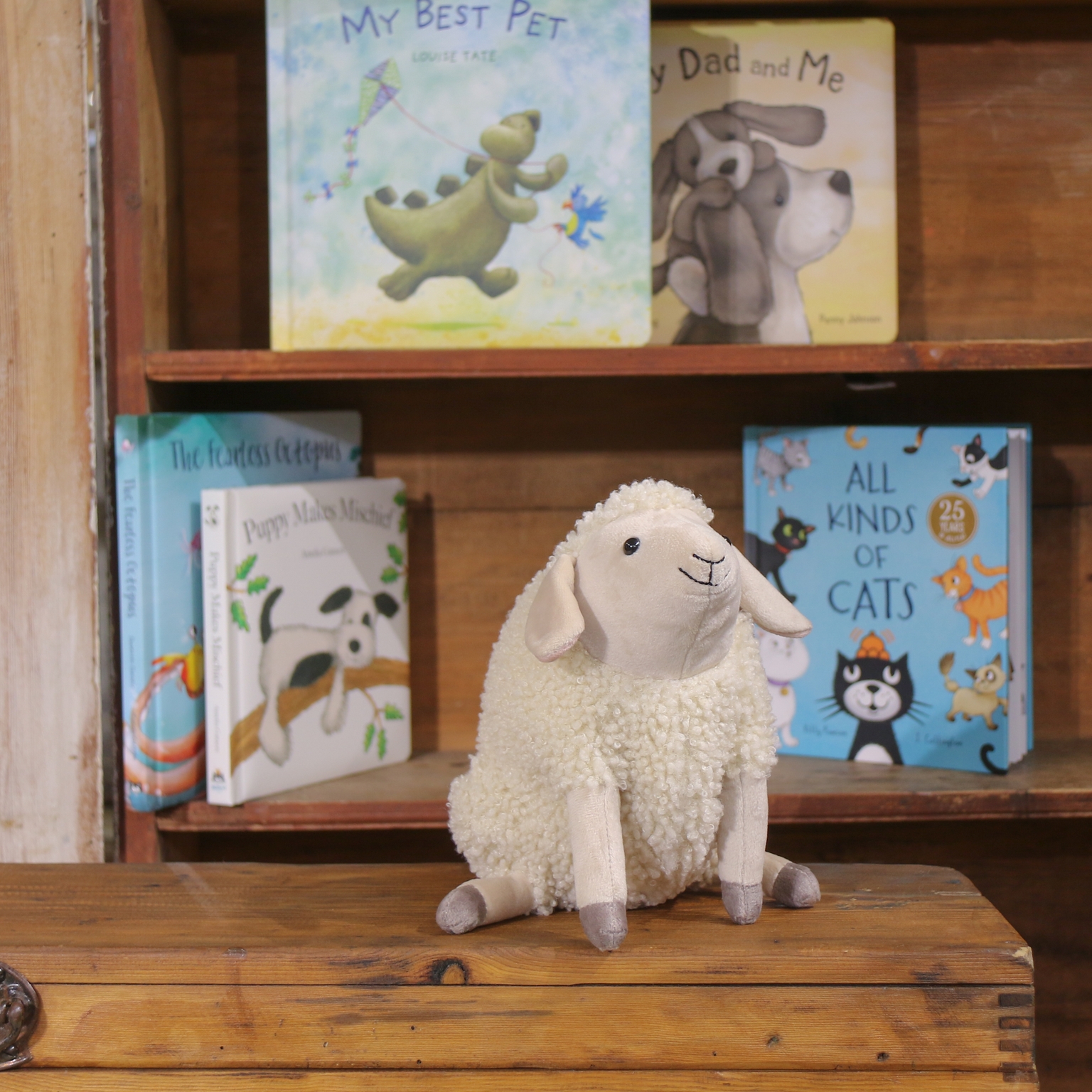 Burly Boo Sheep - Beetham Nurseries