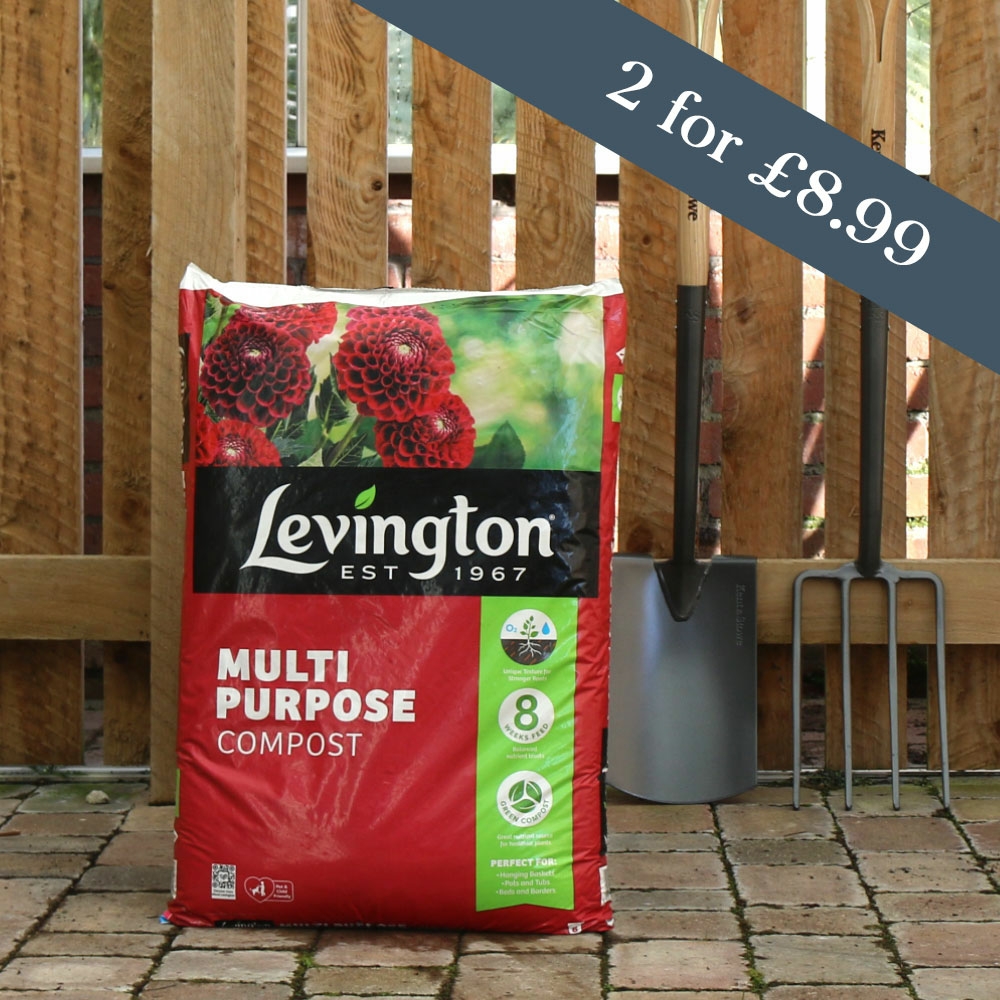 Levington Multi Purpose Compost - 40 Litre - Beetham Nurseries