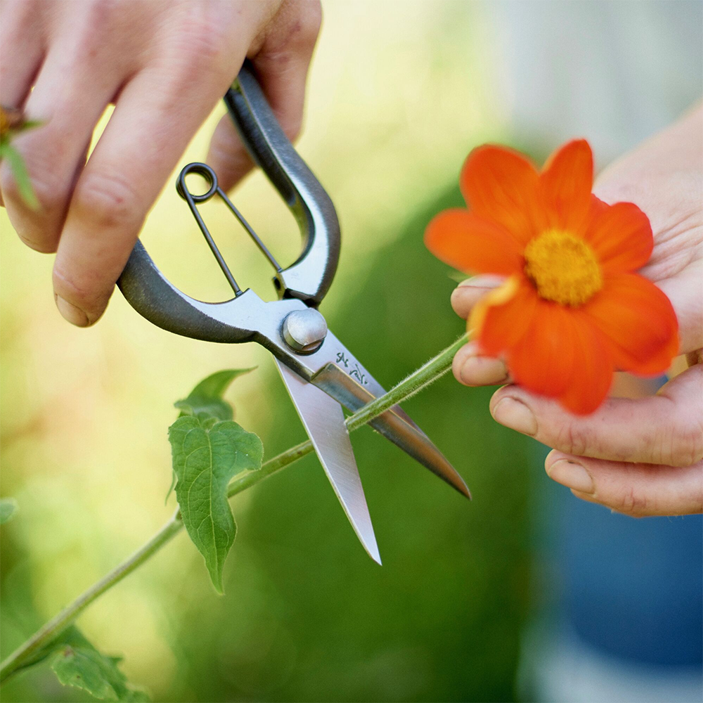 Niwaki Pro Snips - Beetham Nurseries