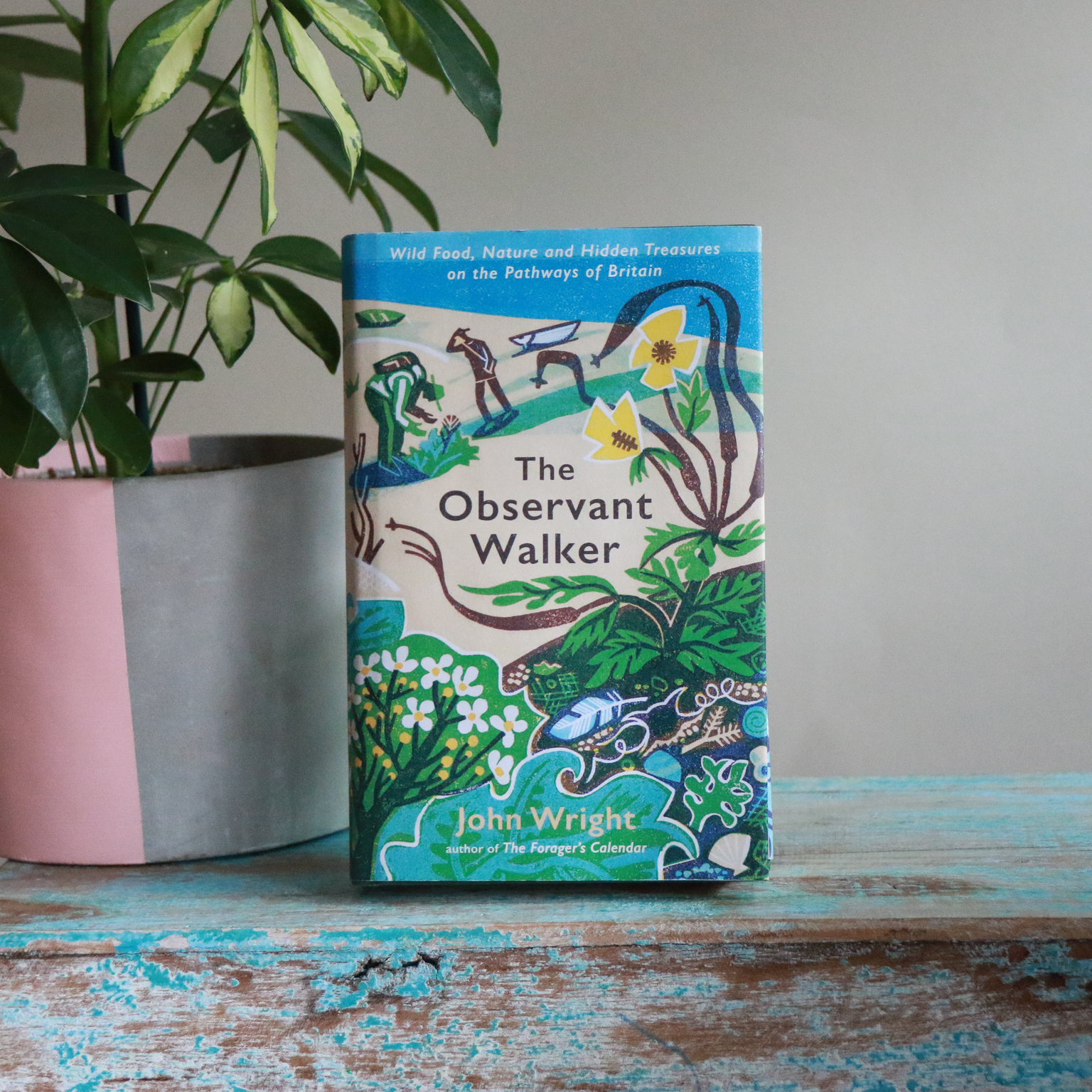 Observant Walker: Wild Wood Nature and Hidden Treasures Book by John ...