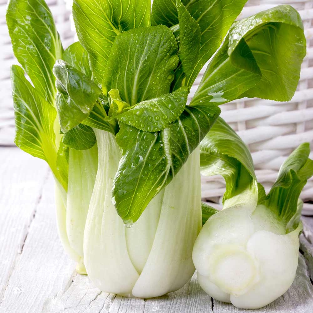 Pak Choi Seeds - Crunchy Colour Mix - Beetham Nurseries