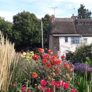 Beetham Nurseries | Plant & Garden Centre | Milnthorpe, Kendal