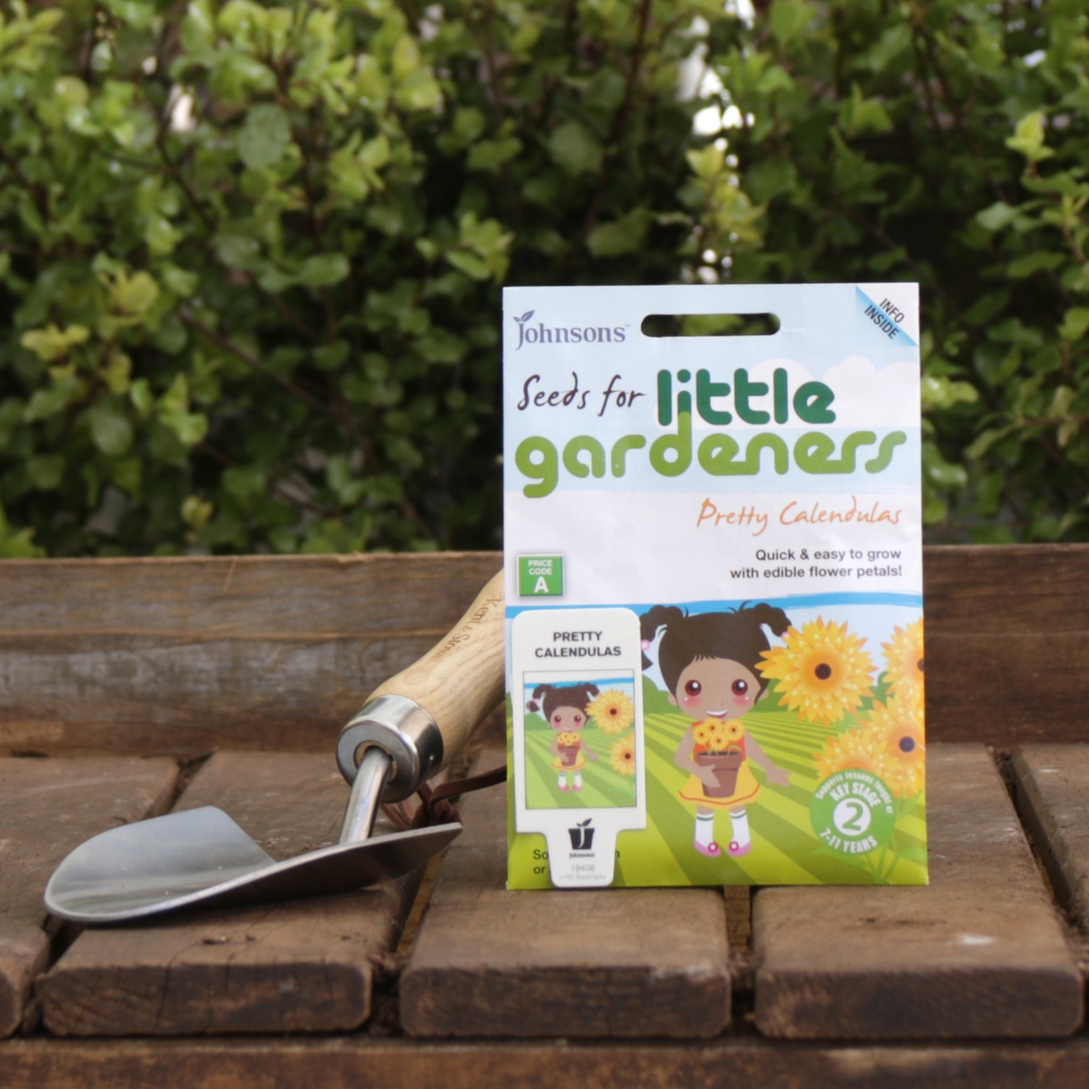 Pretty Calendula Seeds by Little Gardeners - Beetham Nurseries