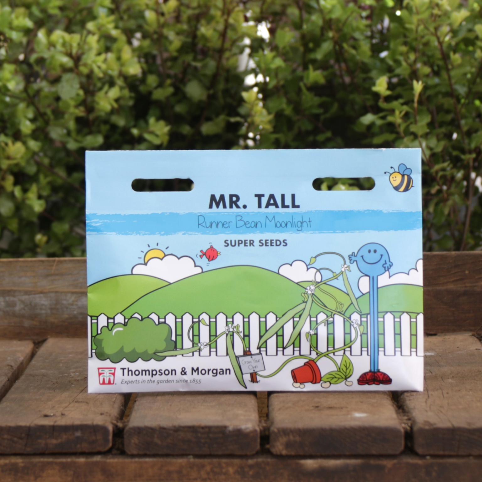 Runner Bean 'Moonlight' Seeds by Mr. Men™ Little Miss™ & Mr Tall ...
