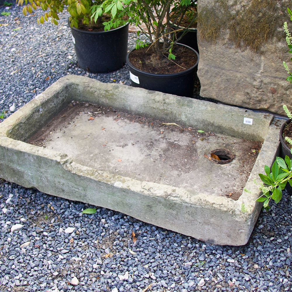 Shallow Stone Trough - Beetham Nurseries