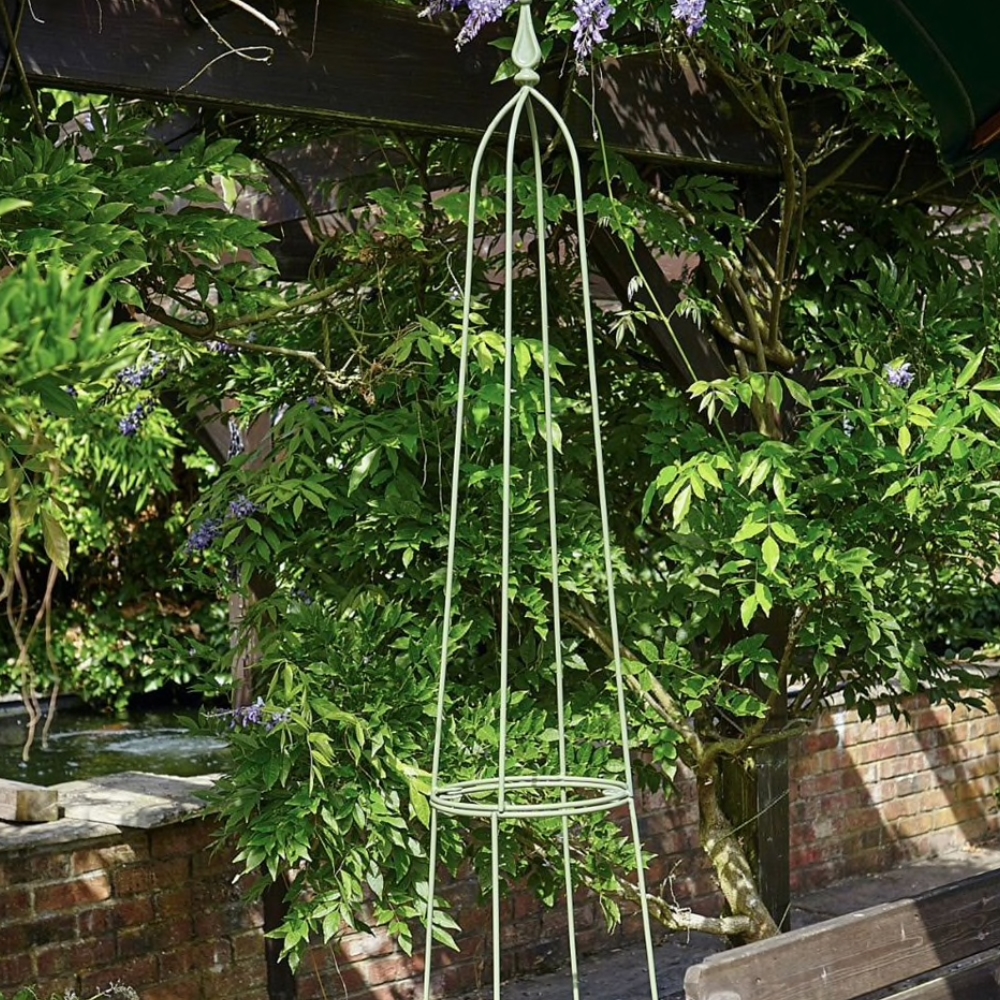 Tom Chambers Byland Sage Small Obelisk (1.5m height) - Beetham Nurseries