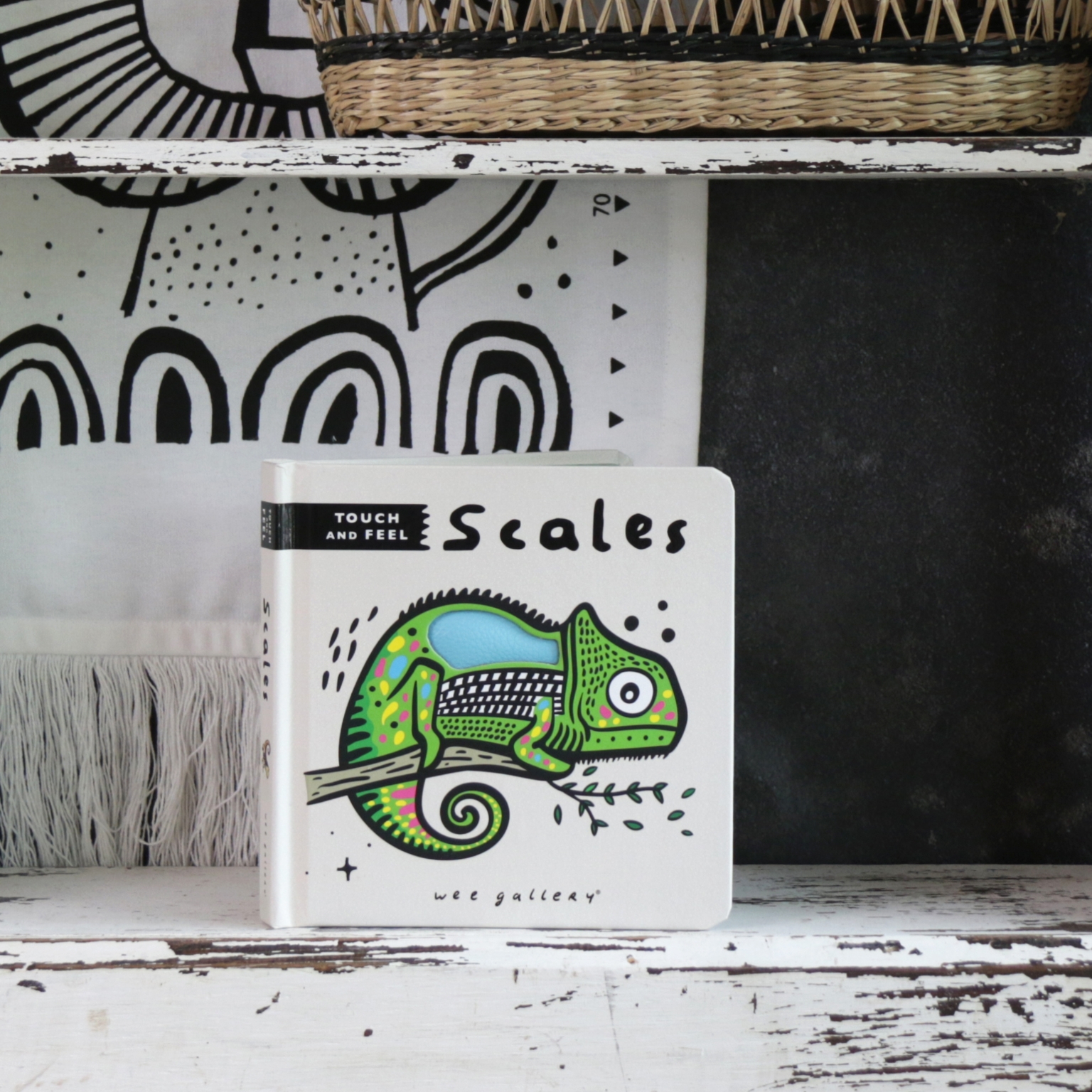 Touch & Feel: Scales by Wee Gallery - Beetham Nurseries